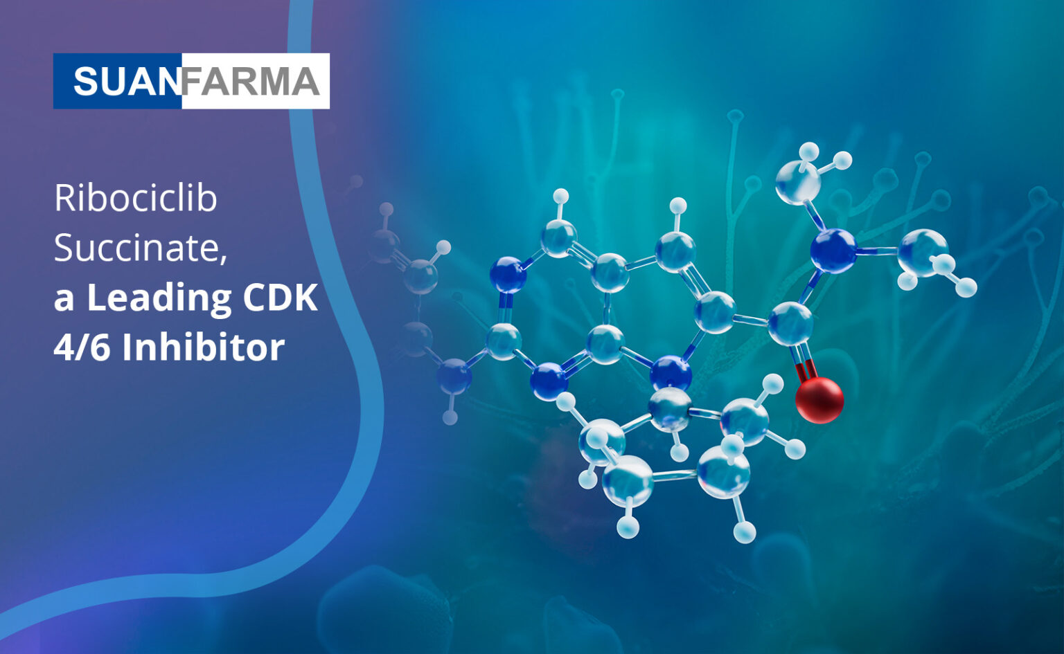 Ribociclib Succinate, transforming hormone receptor-positive breast ...