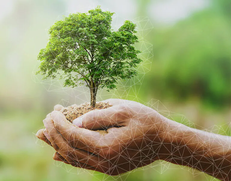 Environmental Focus: Our Clear Objectives for a Responsible Future ...